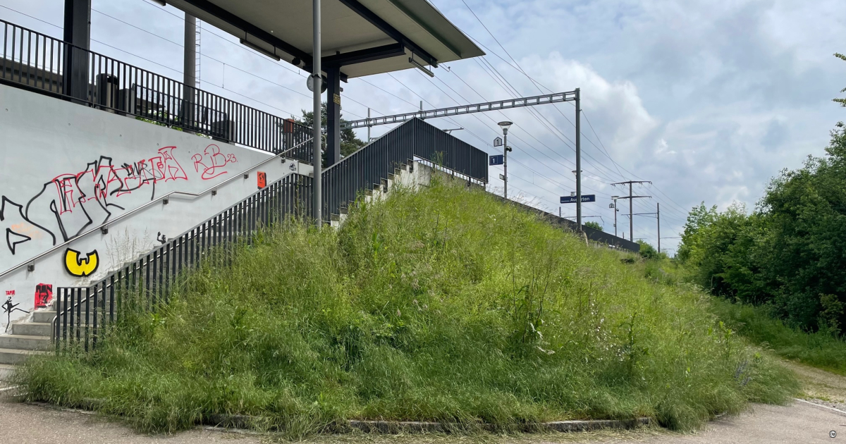 119 neue Veloabstellplätze bei der S-Bahn-Haltestelle Rheinfelden ...